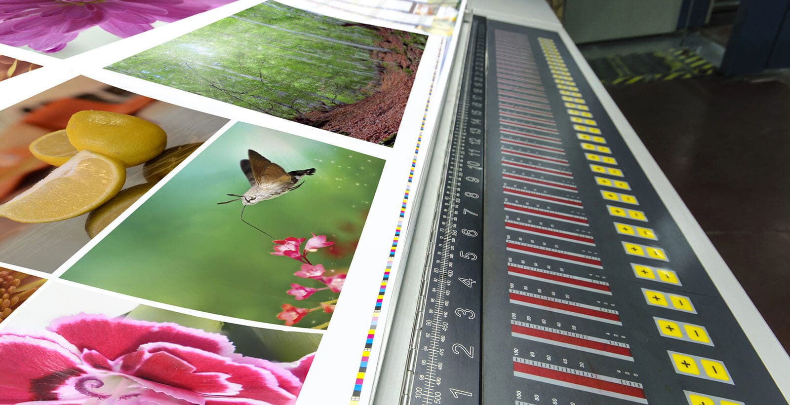 Hybrid Flexo Printing vs Digital Printing: Find the Right Fit